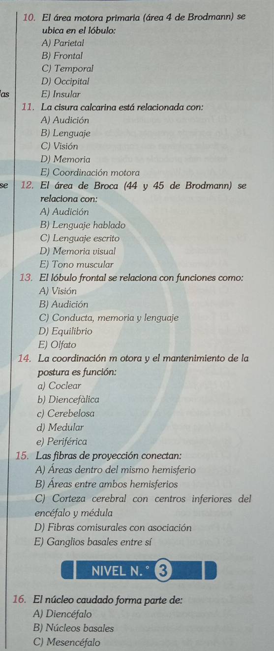 Resuelto:El área motora primaria (área 4 de Brodmann) se ubica en el ...