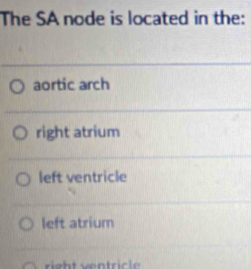 Solved: The SA node is located in the: aortic arch right atrium left ...