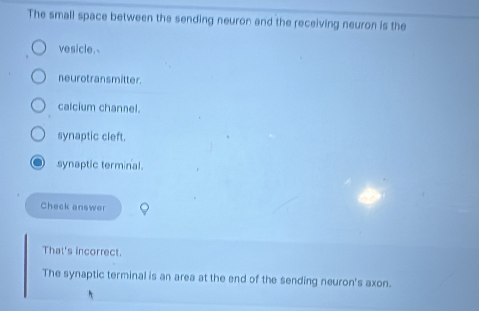 Solved: The small space between the sending neuron and the receiving ...