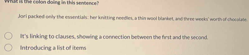 Solved: What is the colon doing in this sentence? Jori packed only the ...