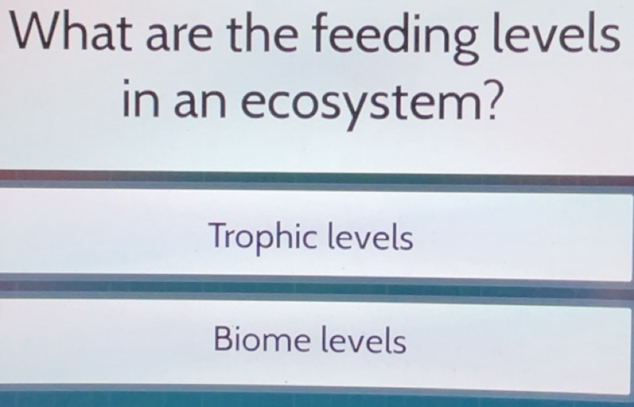 Solved: What are the feeding levels in an ecosystem? Trophic levels ...