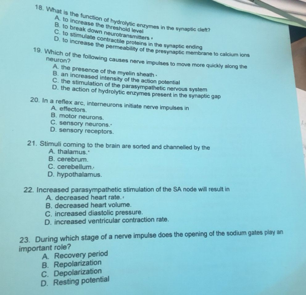Solved: What is the function of hydrolytic enzymes in the synaptic ...