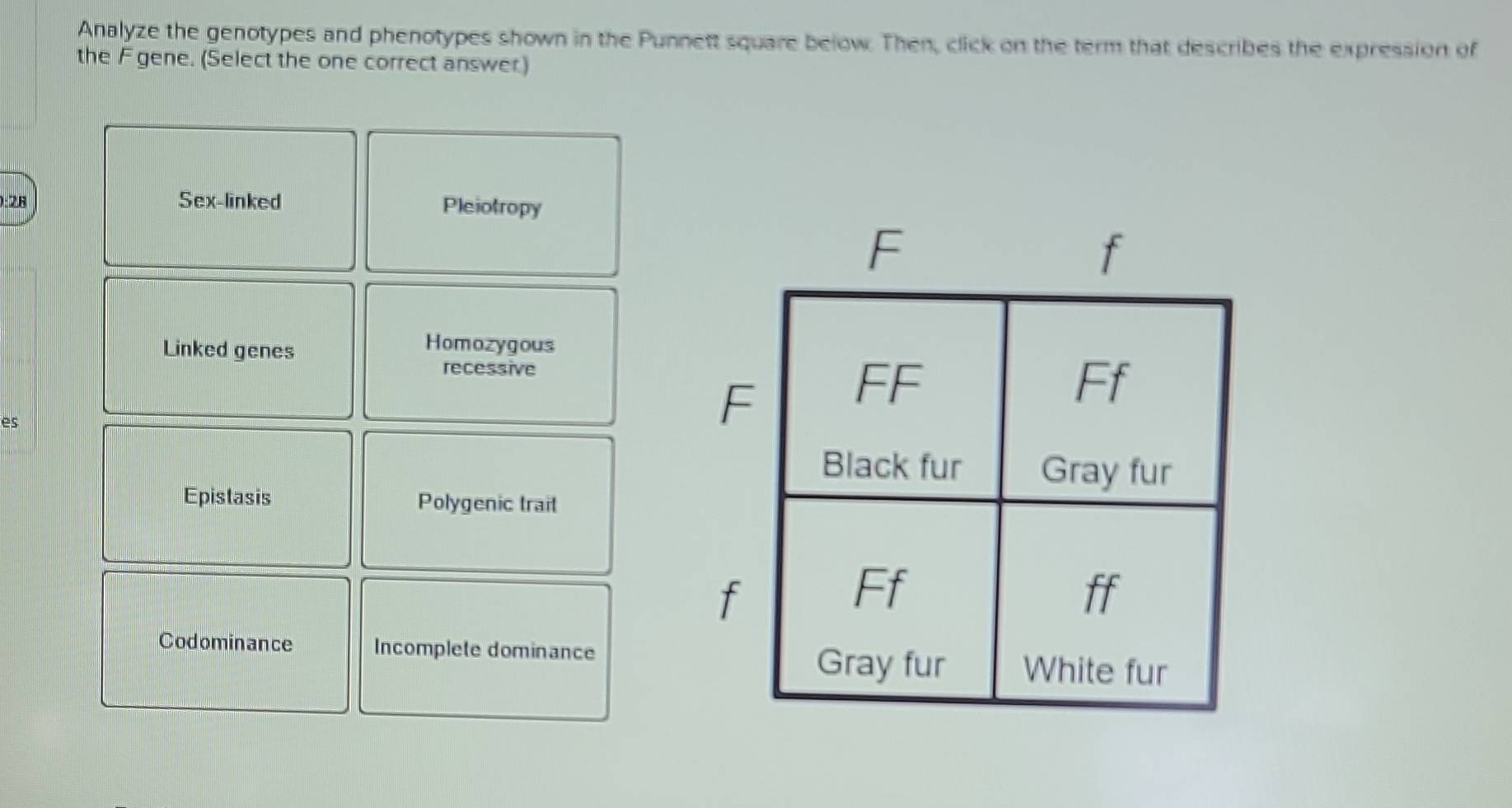 Solved: Analyze the genotypes and phenotypes shown in the Punnett ...