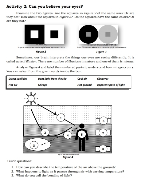 Solved: Activity 2: Can you believe your eyes? Examine the two figures ...