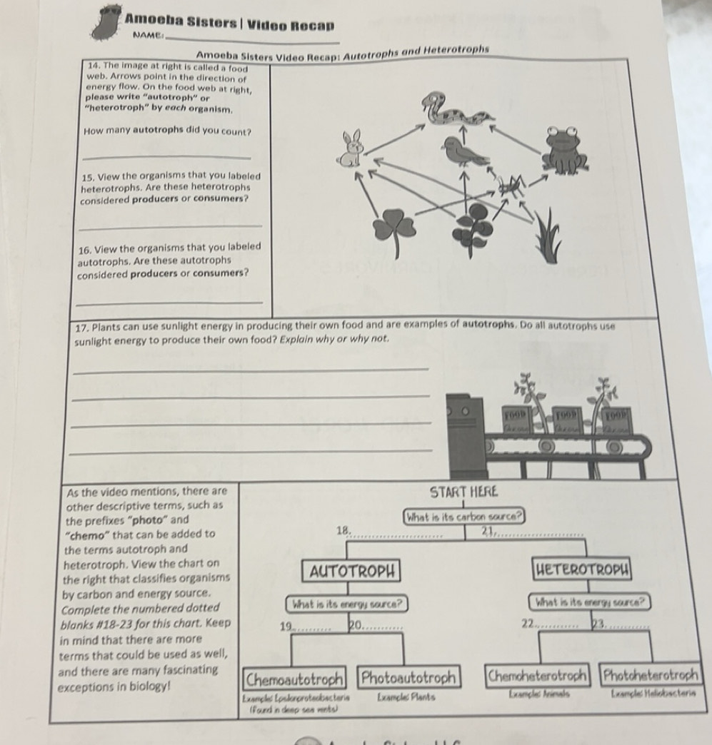 Gelöst:Amoeba Sisters | Video Recap name_ 14. The image at right is ...