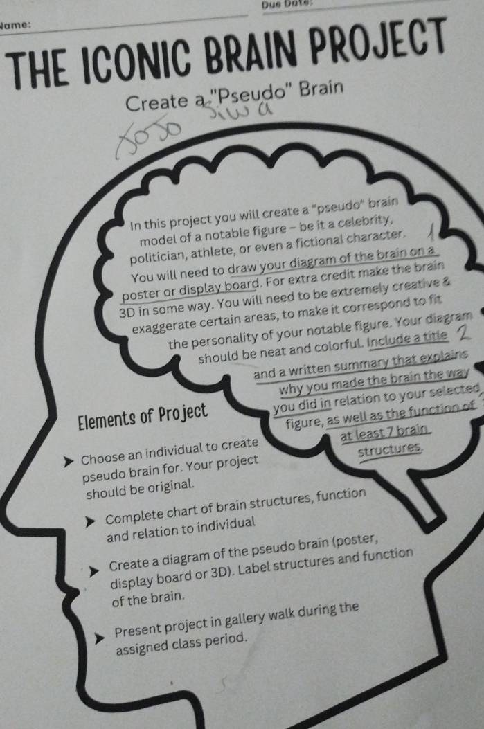 Solved: Due Dote Name: THE ICONIC BRAIN PROJECT Create a ''Pseudo ...