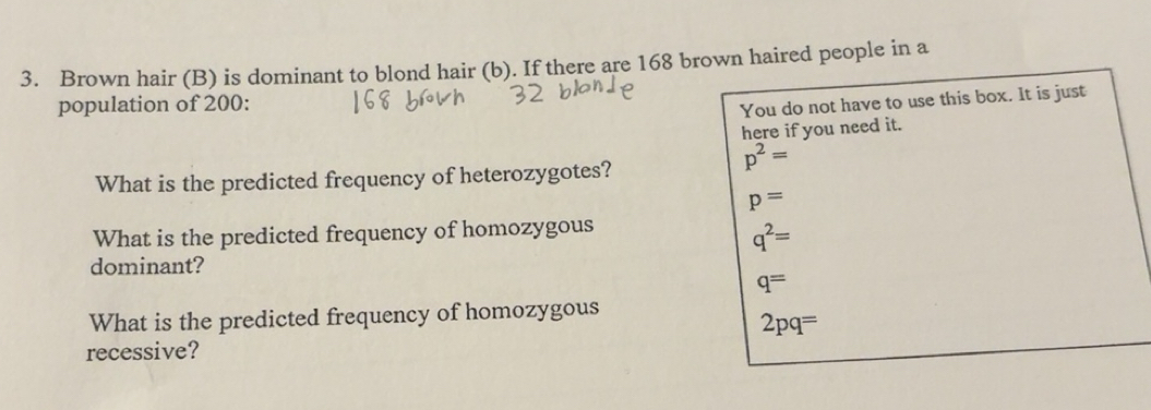 Solved: Brown hair (B) is dominant to blond hair (b). If there are 168 ...