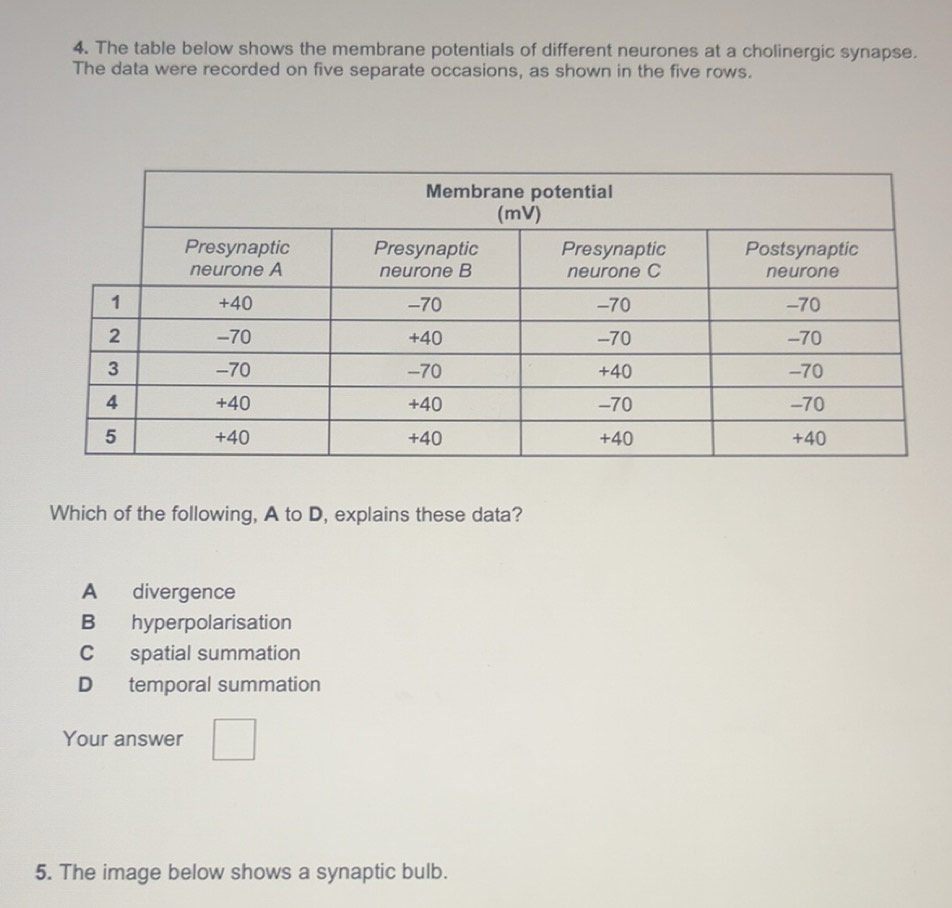 Solved: The table below shows the membrane potentials of different neurones at a cholinergic ...