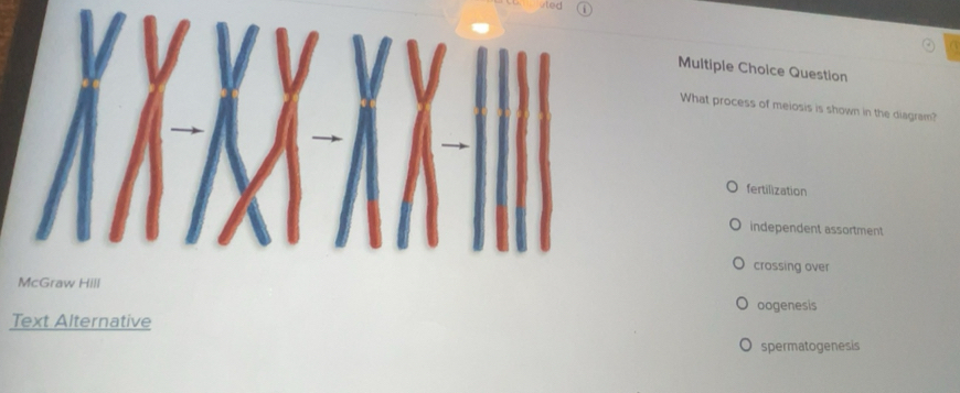 Solved: Question What process of meiosis is shown in the diagram ...