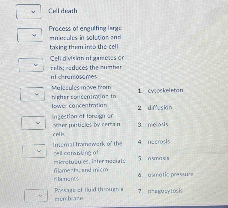Solved: Cell death Process of engulfing large molecules in solution and ...
