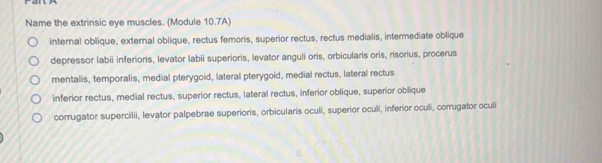 Solved: Name the extrinsic eye muscles. (Module 10.7A) internal oblique ...