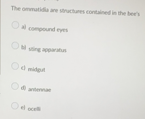 Solved: The ommatidia are structures contained in the bee's a) compound ...
