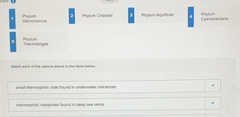 Solved: work Phylum 2 Phylum Chlorobi 3 Phylum Aquificae Phylum 1 ...