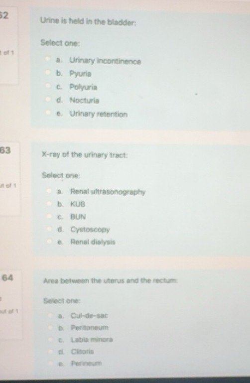 Solved: Urine is held in the bladder: Select one: t of 1 a. Urinary ...