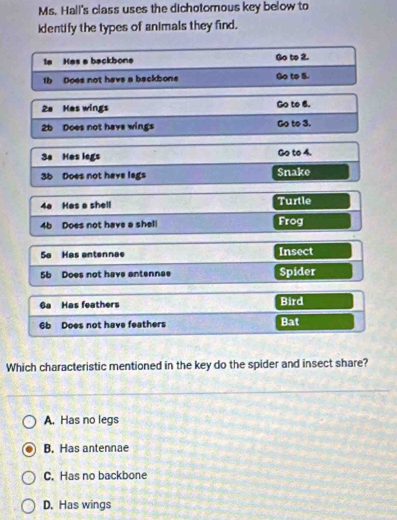 Resuelto:Ms. Hall's class uses the dichotomous key below to identify ...