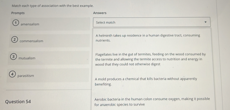Solved: Match each type of association with the best example. Prompts ...