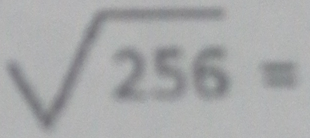 Resuelto:sqrt(256)=