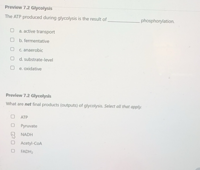 Solved: Preview 7.2 Glycolysis The ATP produced during glycolysis is ...