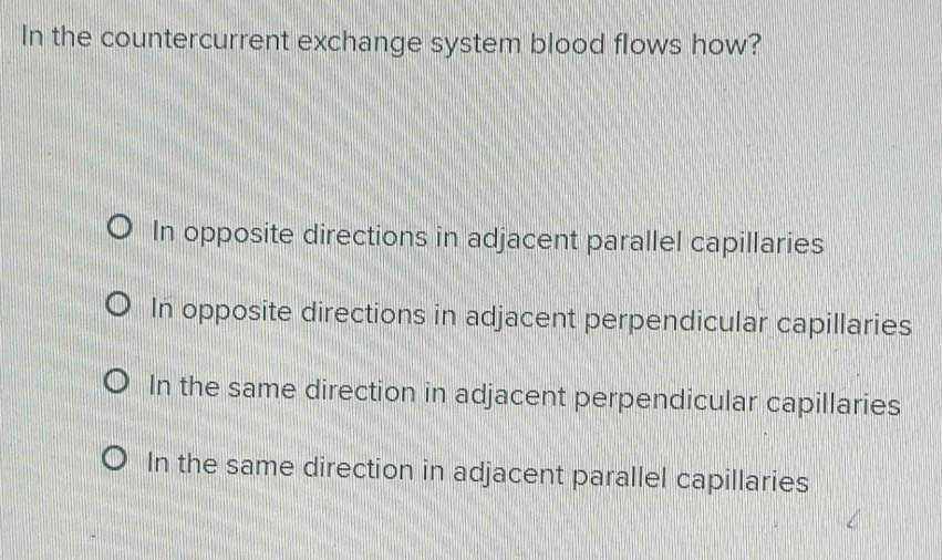 Solved: In the countercurrent exchange system blood flows how? In ...