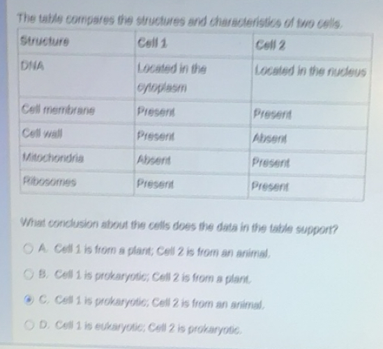 Solved: The table compares the structures and char What conclusion ...