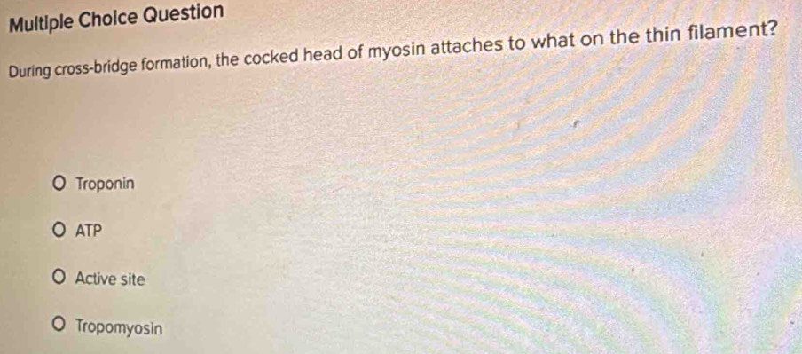 Solved: Question During cross-bridge formation, the cocked head of ...