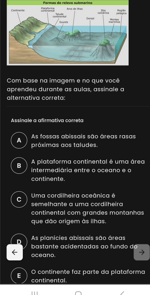 Resolvido:Formas do relevo submarino Com base na imagem e no que você ...