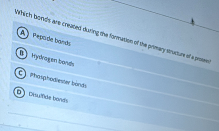 Solved: Which bonds are created during the formation of the primary ...