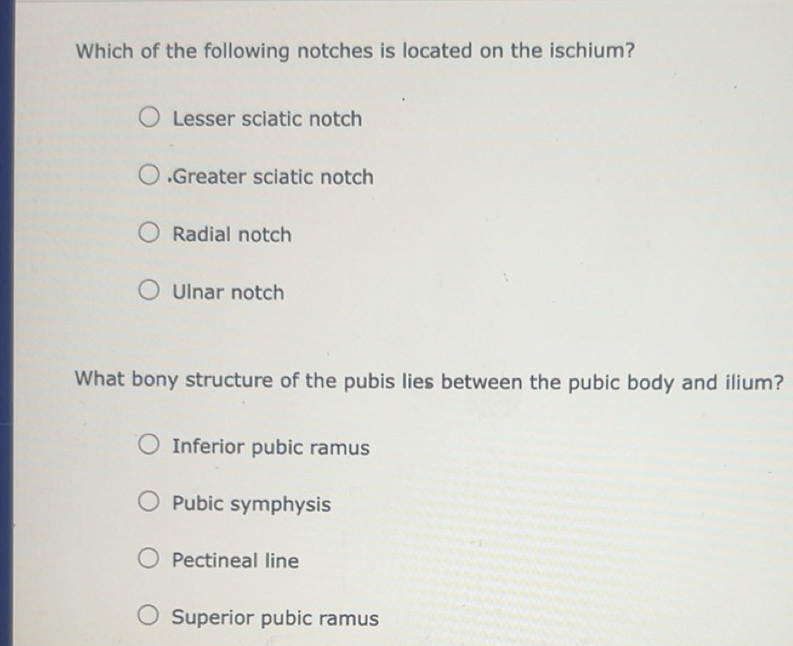 Solved: Which of the following notches is located on the ischium ...