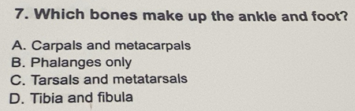 Gelöst:Which bones make up the ankle and foot? A. Carpals and ...