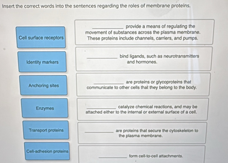 Solved: Insert the correct words into the sentences regarding the roles ...