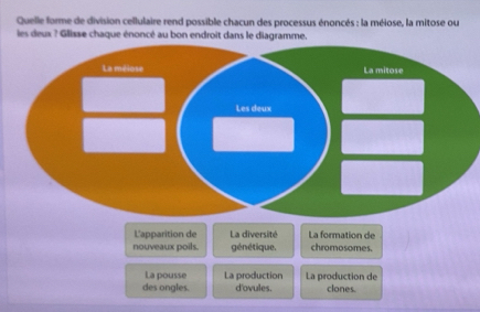 Solved: Quelle forme de division cellulaire rend possible chacun des ...