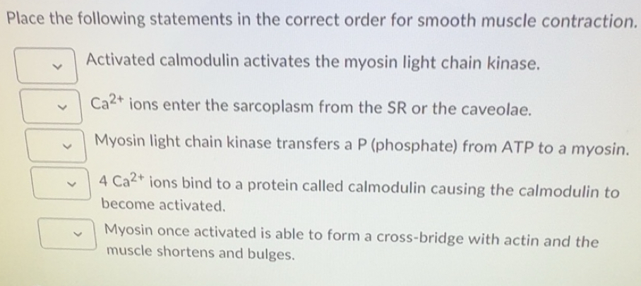 Solved: Place the following statements in the correct order for smooth ...