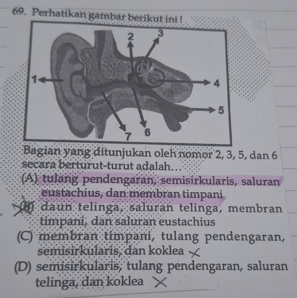 Telah dijawab:Perhatikan gambar be Bagian yang ditunjukan oleh nomor 2 ...