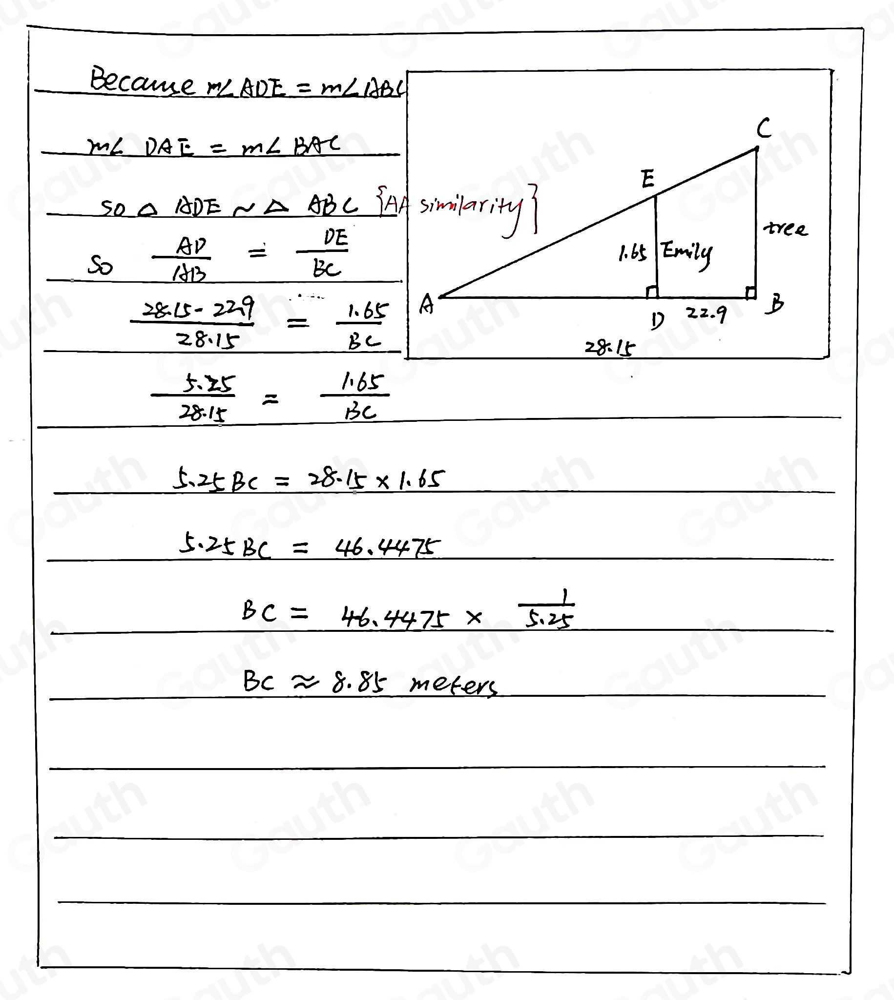 Solved: Emily is 1.65 meters tall. At 3 p.m., she measures the length ...