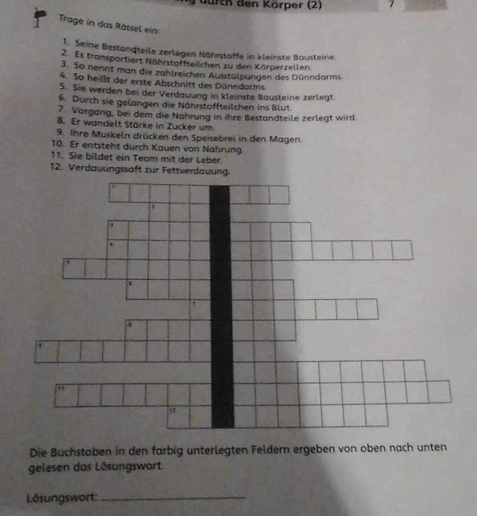 Das Ratsel Um Den Zuschnitt 6 Buchstaben Entschlusseltfeed