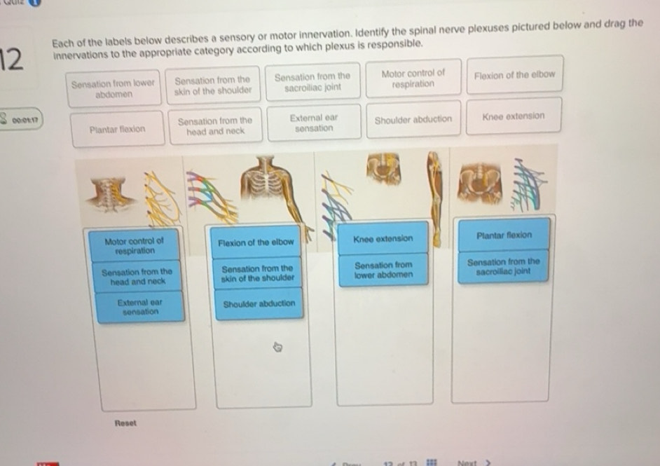 Solved: Each of the labels below describes a sensory or motor ...