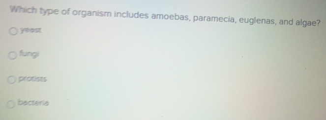 Solved: Which type of organism includes amoebas, paramecia, euglenas ...
