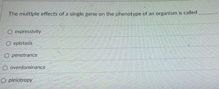 Solved: The multiple effects of a single gene on the phenotype of an ...