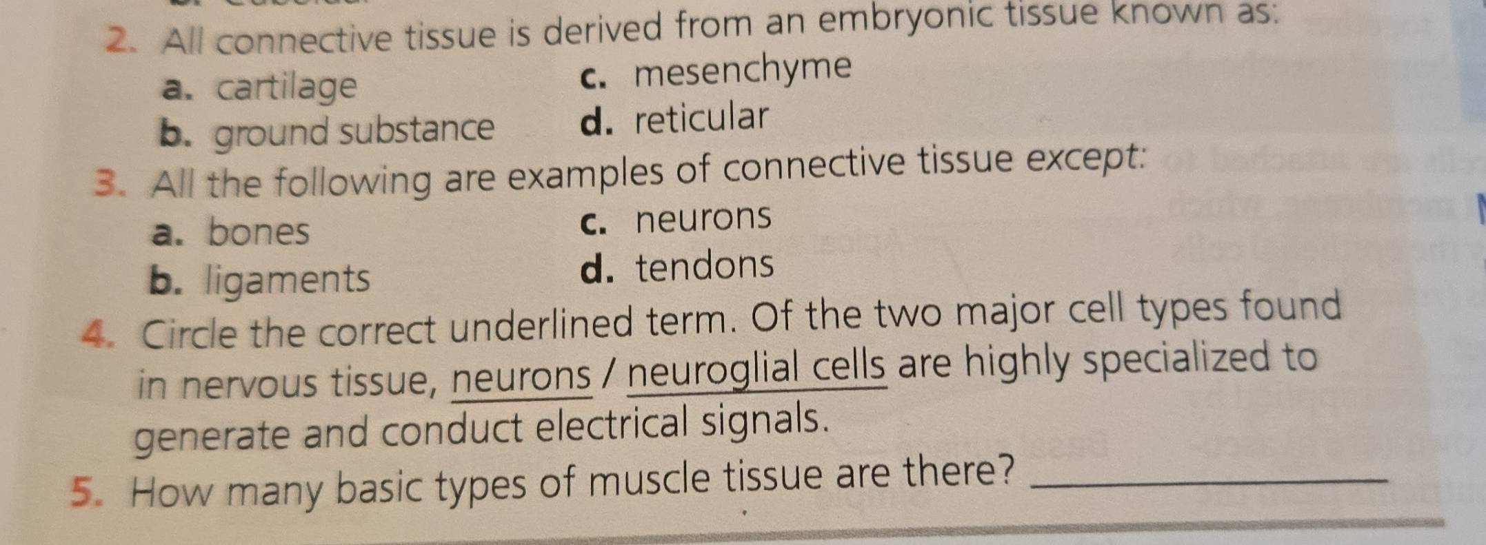 Solved: All connective tissue is derived from an embryonic tissue known ...