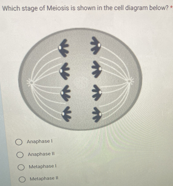 Solved: Which stage of Meiosis is shown in the cell diagram below ...