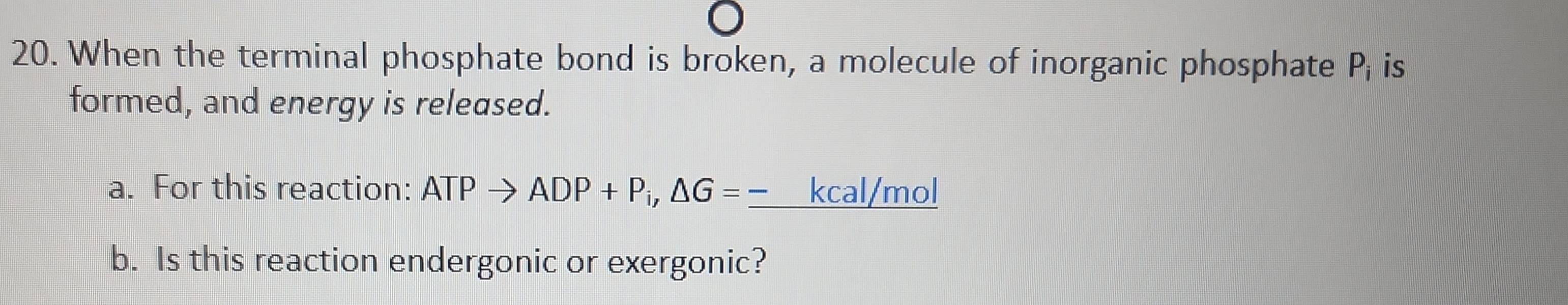Solved: When the terminal phosphate bond is broken, a molecule of ...