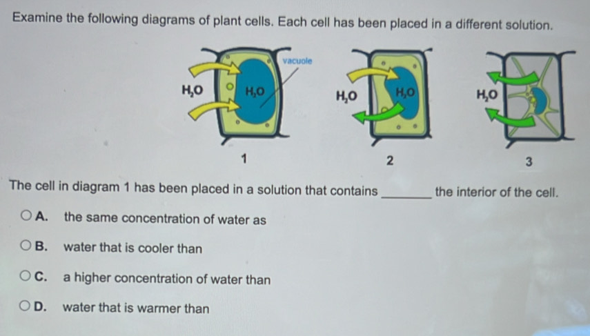 Solved: Examine the following diagrams of plant cells. Each cell has ...