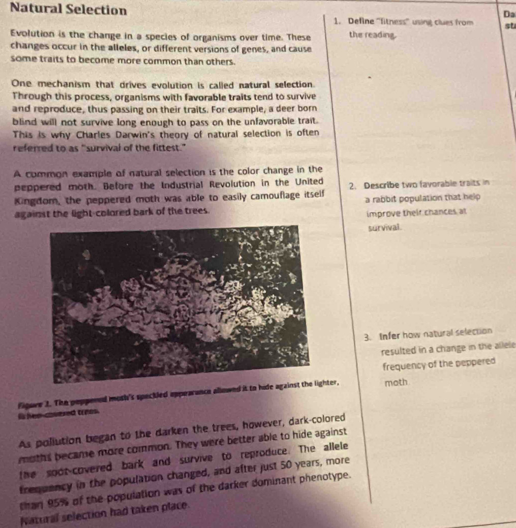 Solved: Natural Selection Da 1. Define "fitness" using clues from st ...