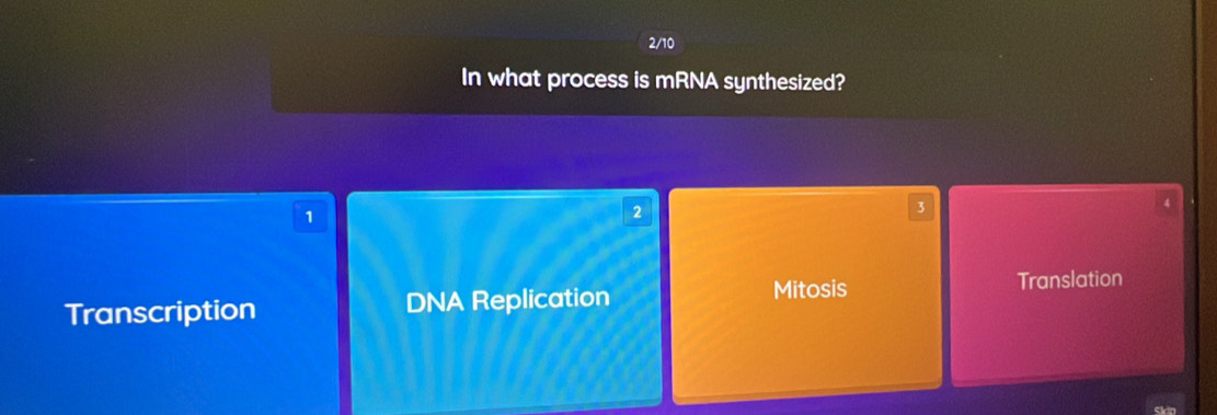 Solved: 2/10 In what process is mRNA synthesized? 1 2 3 Transcription ...