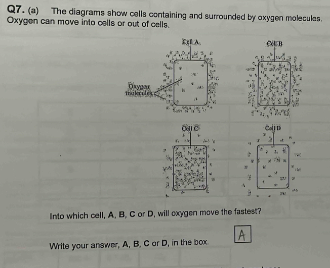 Solved: The diagrams show cells containing and surrounded by oxygen ...