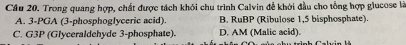 Giải quyết:Trong quang hợp, chất được tách khỏi chu trình Calvin đề ...