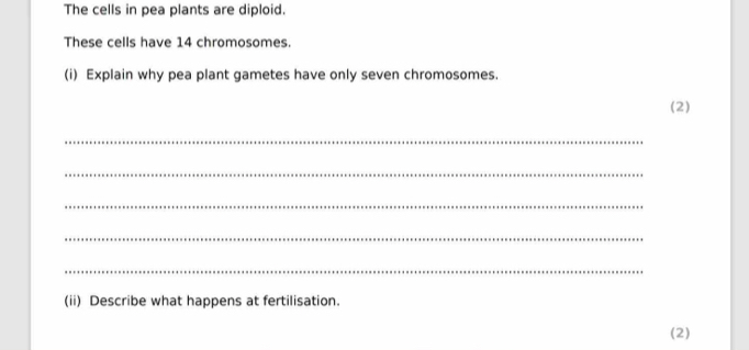 Solved: The cells in pea plants are diploid. These cells have 14 ...