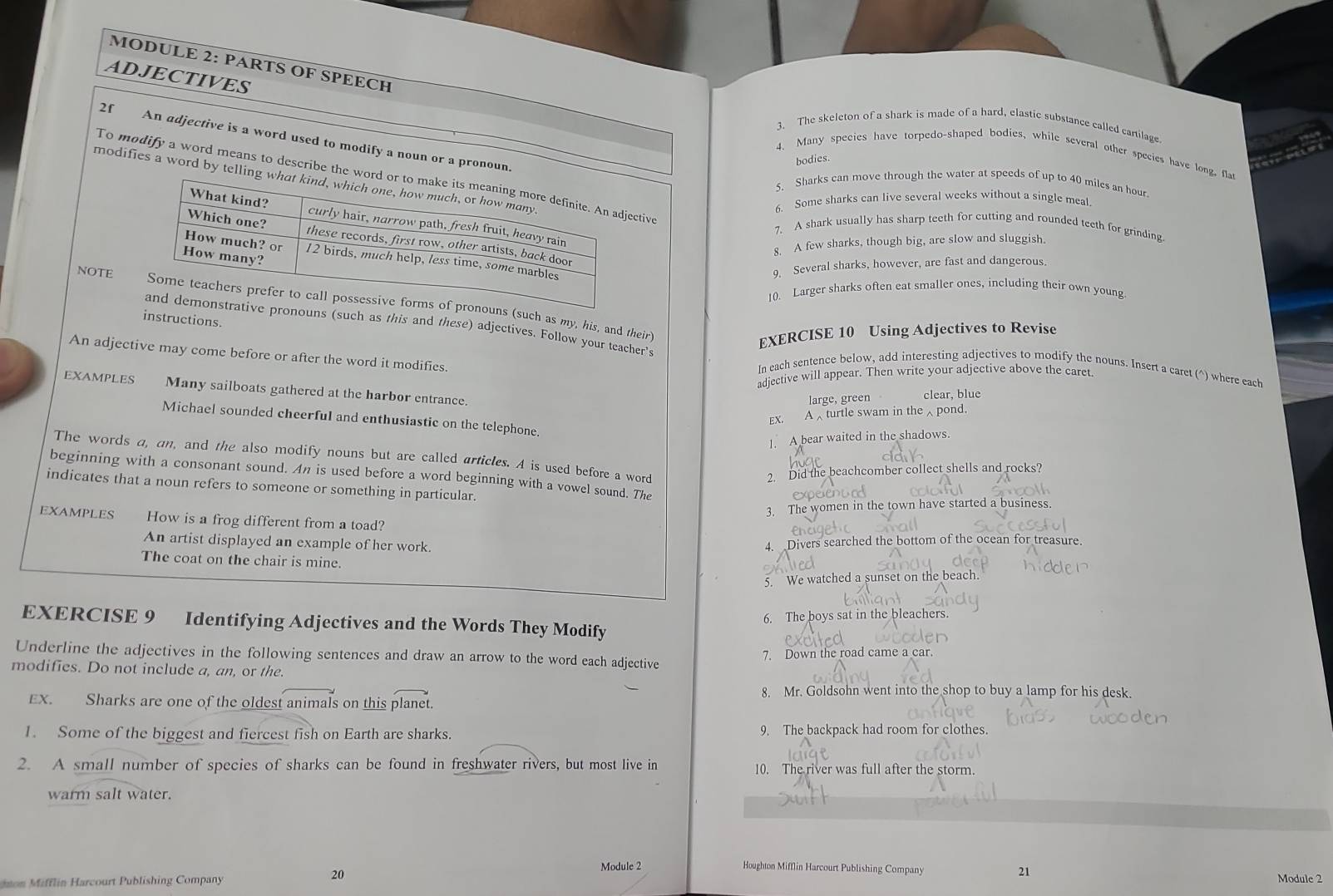 MODULE 2: PARTS OF SPEECH ADJECTIVES 3. The skeleton of a shark is made ...