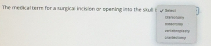 Solved: The medical term for a surgical incision or opening into the ...
