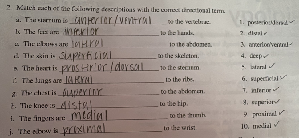 Solved: Match each of the following descriptions with the correct ...